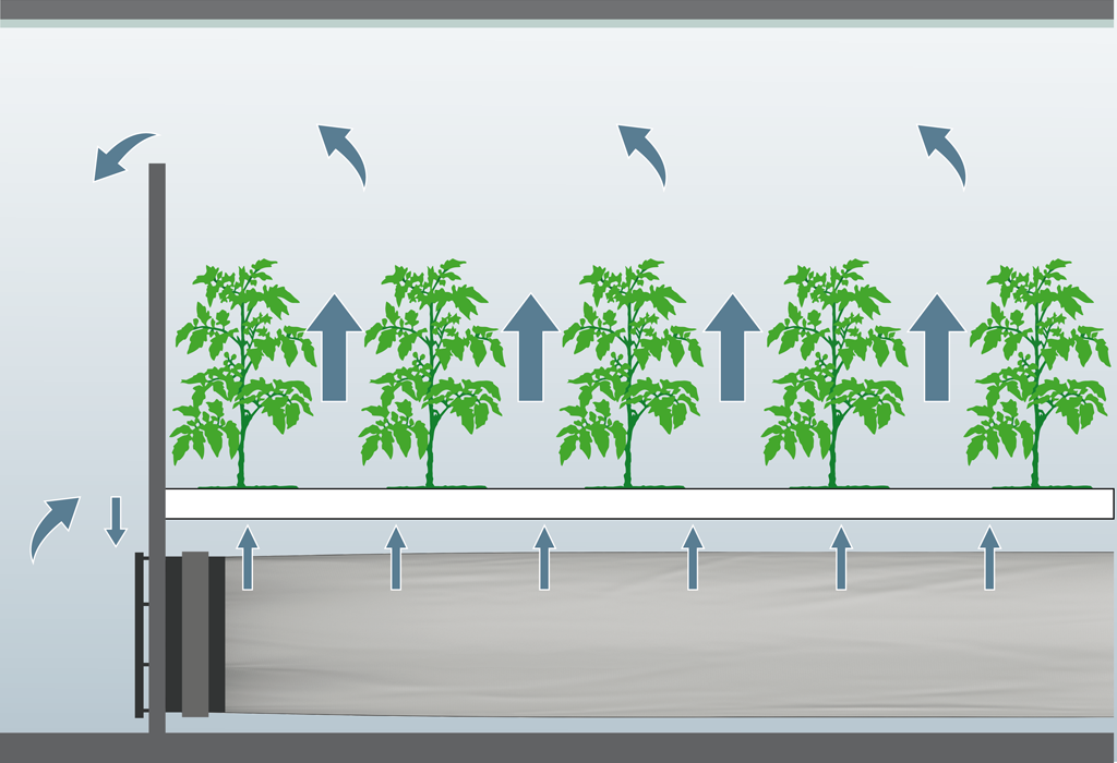 Good climate for top crops | mag