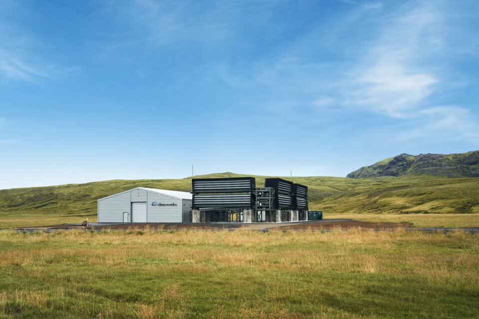 Large whale devours CO2 | mag