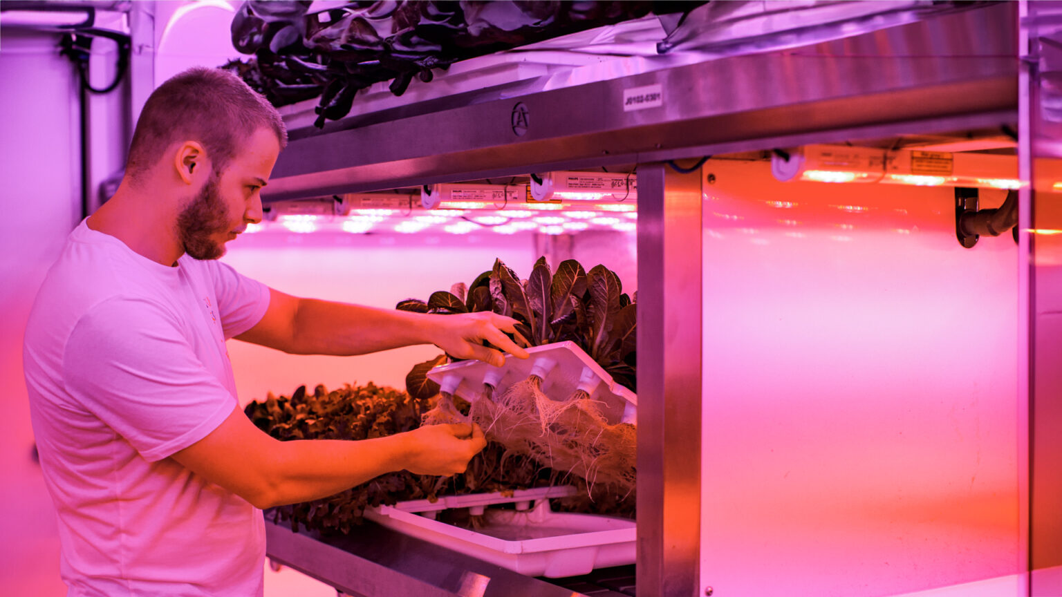 Artechno: Vertical farming with innovative cells | mag